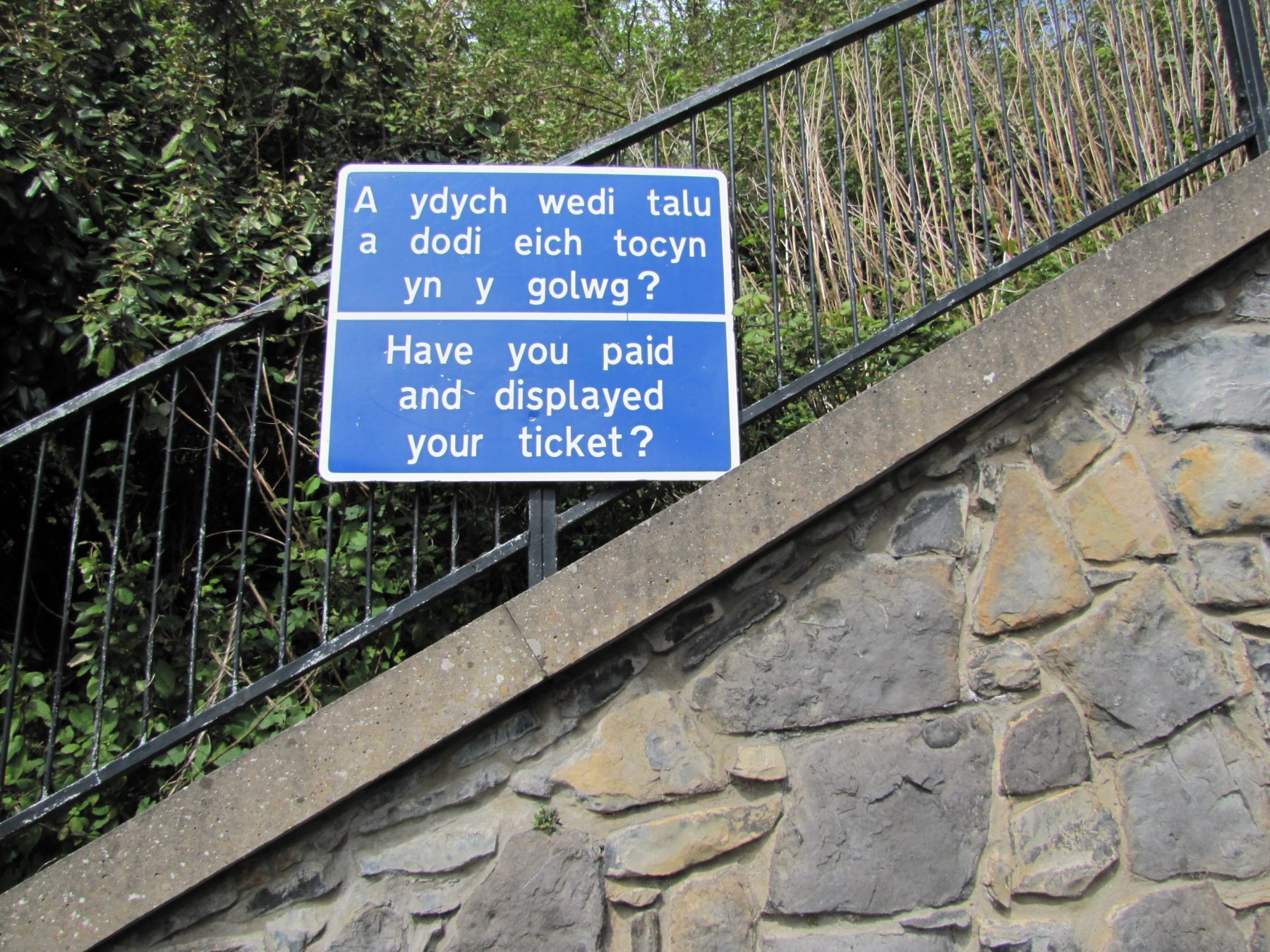 Cultural exchange - camp provides a global perspective - Camp Runoia